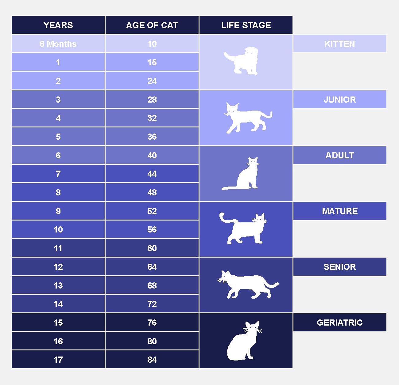 How Old Is Your Cat In Human Years PetlifeAU How Old Is Your Cat In Human Years PetlifeAU