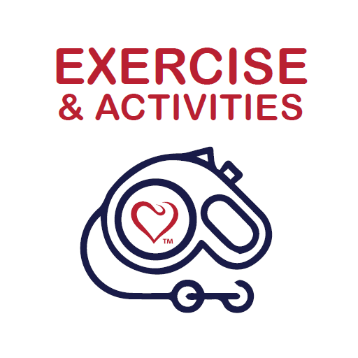 Exercises & Activities for Pets - Health & Wellness | PetlifeAU™