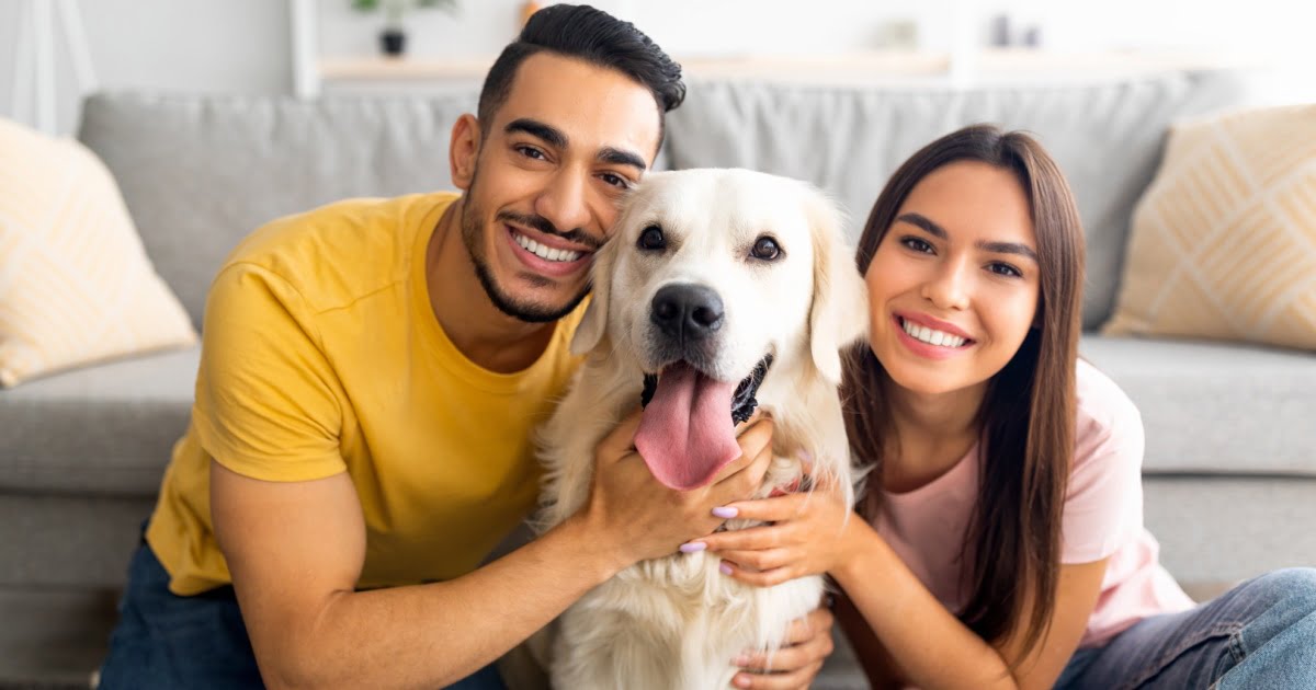 The Best Dog Breeds For Apartment Living - PetlifeAU™
